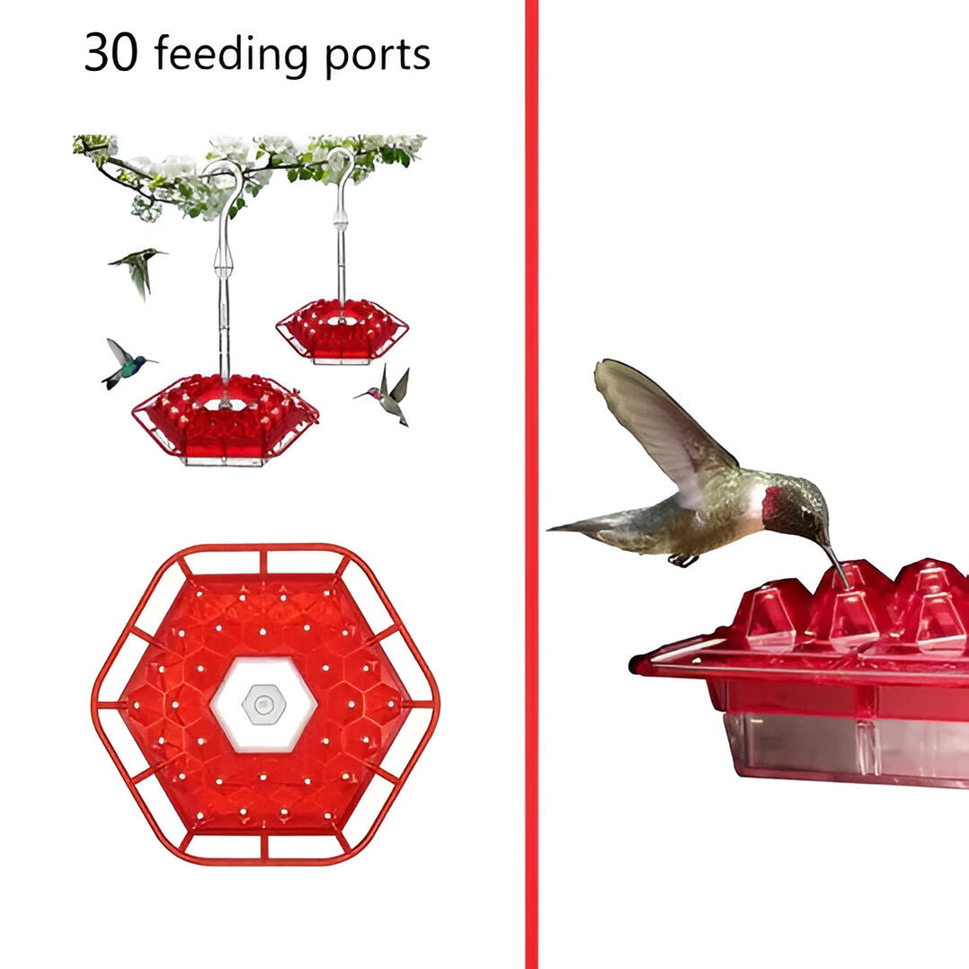 Ant-Proof Hummingbird Feeder with Outdoor Hanging Perch — SJ Backyard