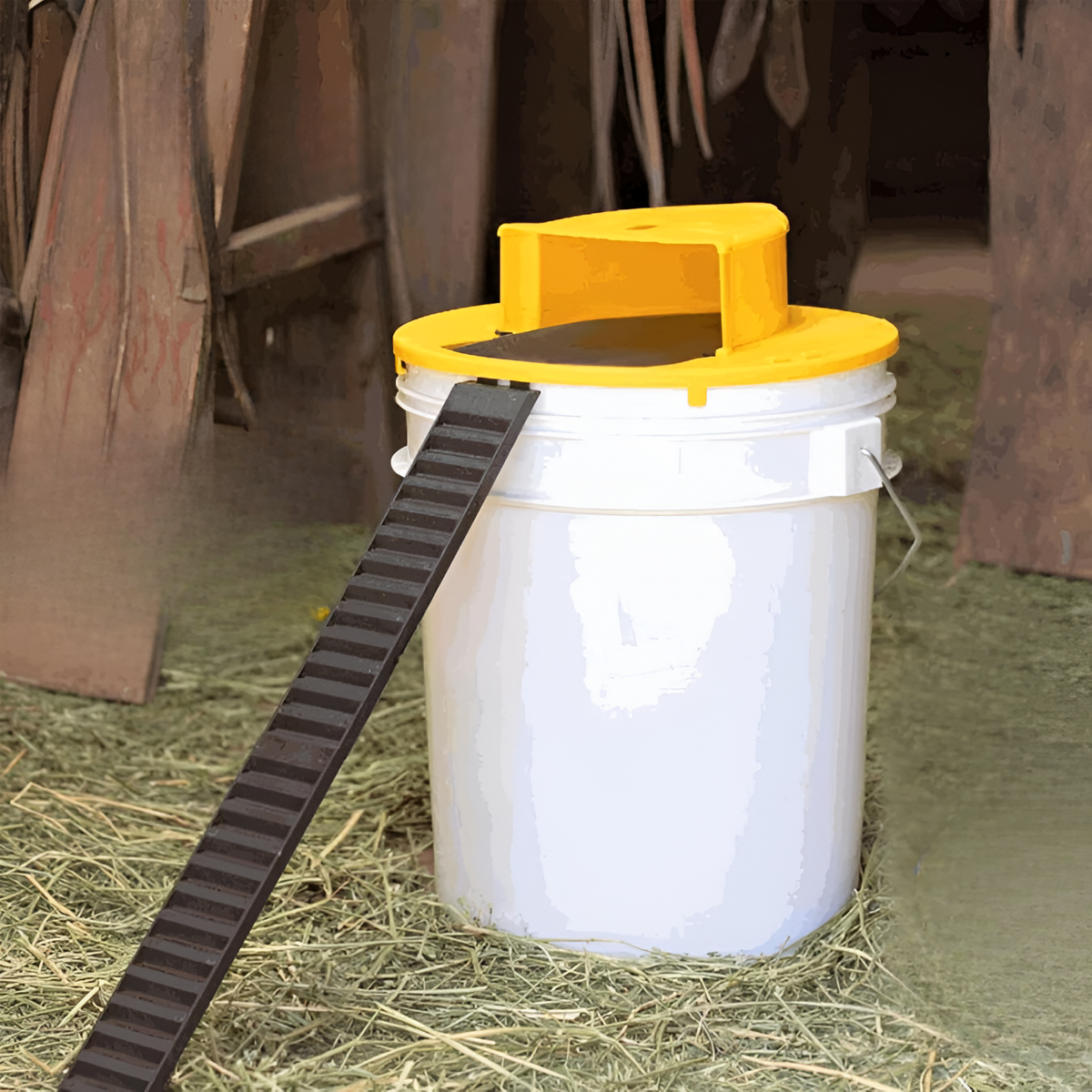 Bucket Lid Mouse Trap – 4 Pack Multi-Catch Reusable Rodent Eliminator ...